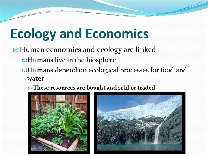 Chapter 3 The Biosphere Section 3 1 What