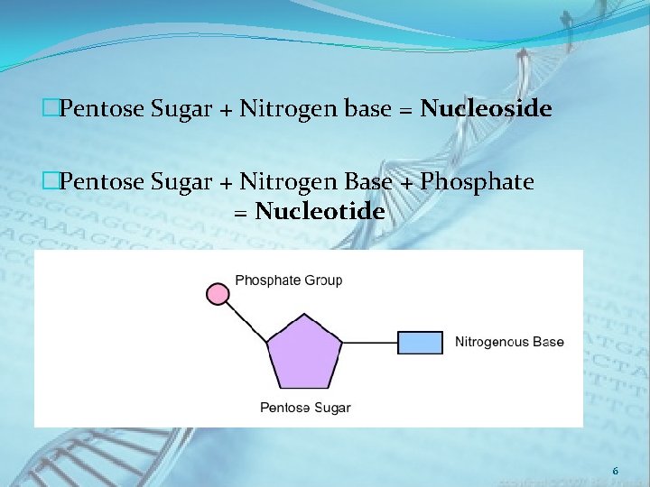 DNA Structure Dr Sanjay Limbraj Korekar Yeshwantrao Chavan