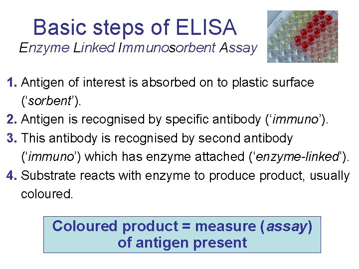 ELISA Enzyme Linked Immunosorbent Assay What is an