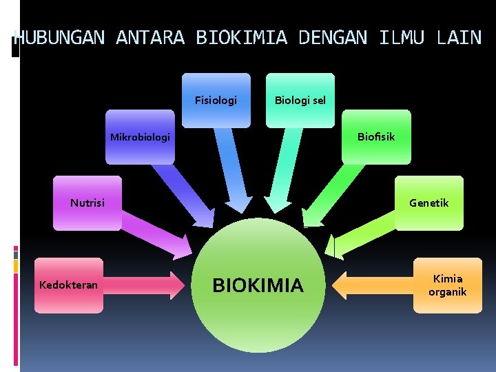 10 Contoh Biokimia Pengertian Dan Cabang Apacontoh Co - vrogue.co
