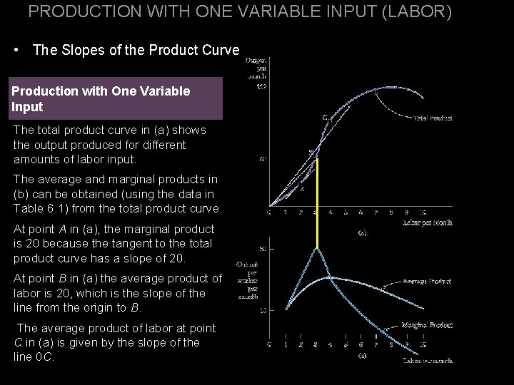 6 APLIKASI PRINSIP EKONOMI DALAM BISNIS PRODUKSI Mk