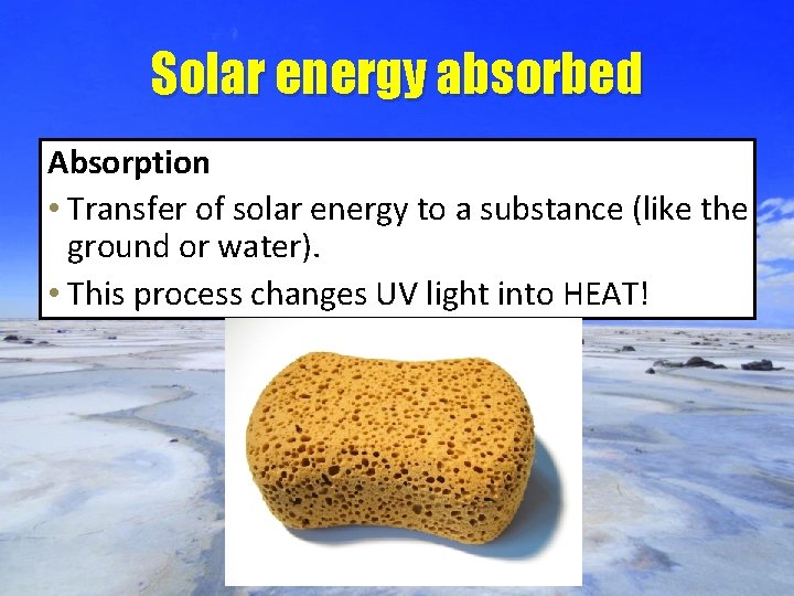 Solar Energy Expectations Review Class Rules Be Prompt