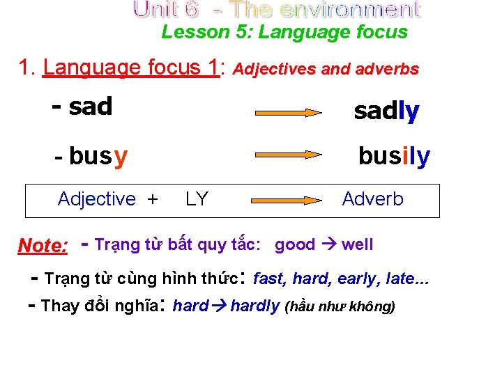 Teacher BI VN SON Language focus Adjectives and