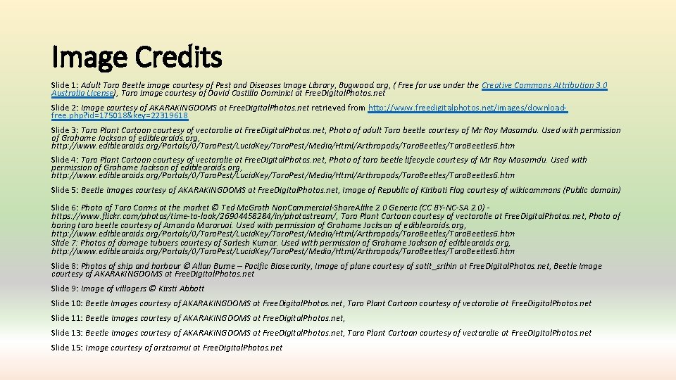 Taro Beetle Lesson Kam na mauri What are