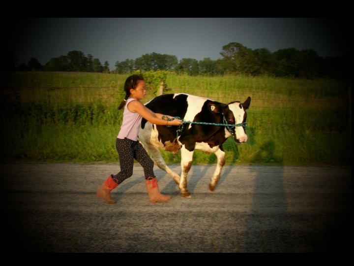 Parenting from a Distance Dr Carl Ruby Parenting