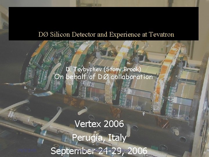 D Silicon Detector and Experience at Tevatron D