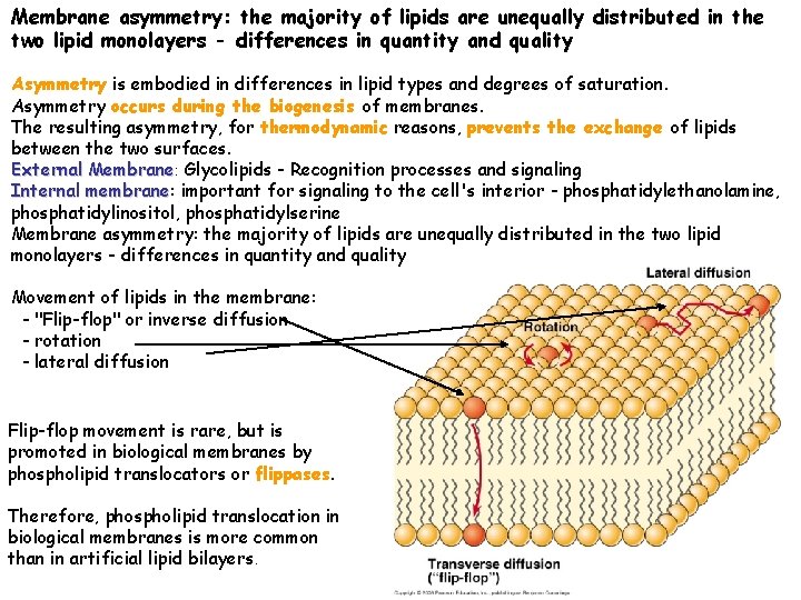 Cell membrane Structure and Functions Dr habil Khidai