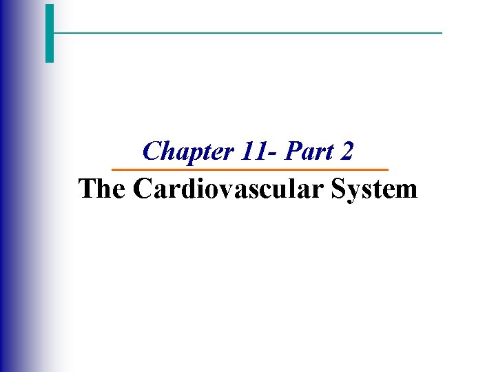 Chapter 11 Part 2 The Cardiovascular System Coronary