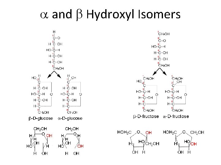 Carbohydrates Zachary R Woydziak Ph D Chem 377