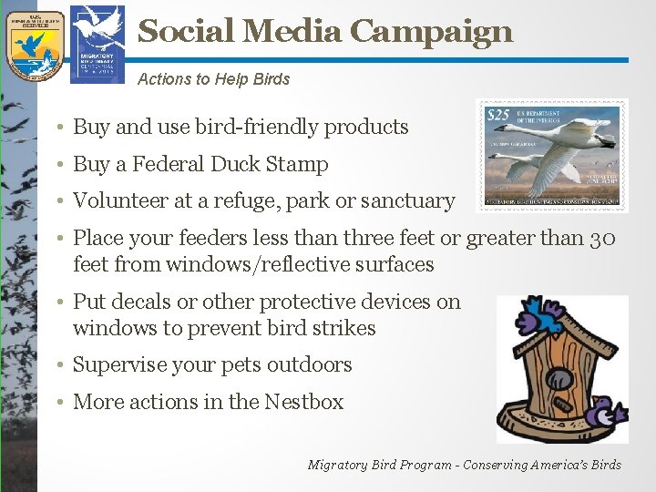 Migratory Bird Treaty Centennial Banding Together for Birds