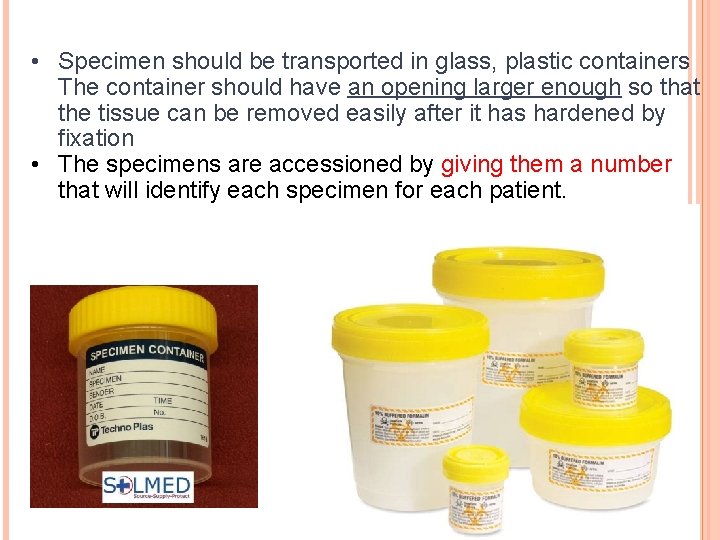 INTRODUCTION TO PATHOLOGY HISTOPATHOLOGY TECHNIQUES DR EKBAL ISKANDER