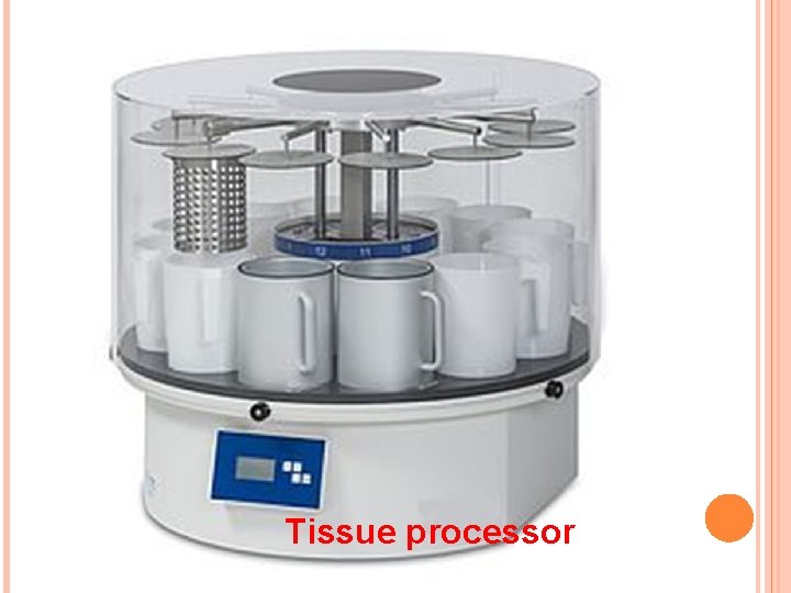 INTRODUCTION TO PATHOLOGY HISTOPATHOLOGY TECHNIQUES DR EKBAL ISKANDER