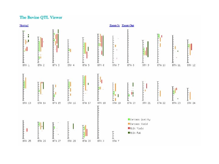 TAMU Bovine QTL db and viewer Dave Adelson