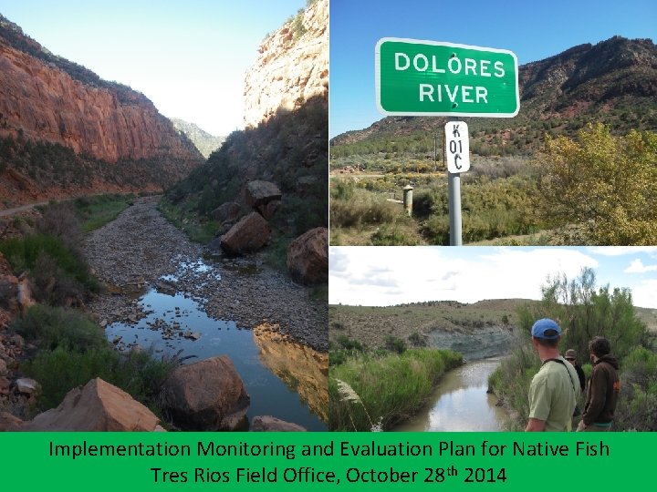 Implementation Monitoring and Evaluation Plan for Native Fish