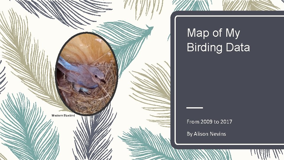 Map of My Birding Data Western Bluebird From