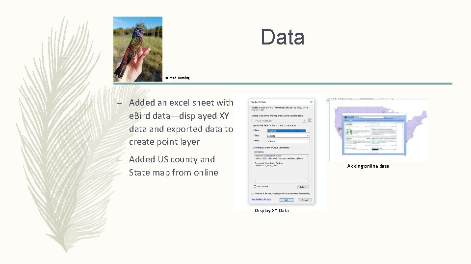 Map of My Birding Data Western Bluebird From