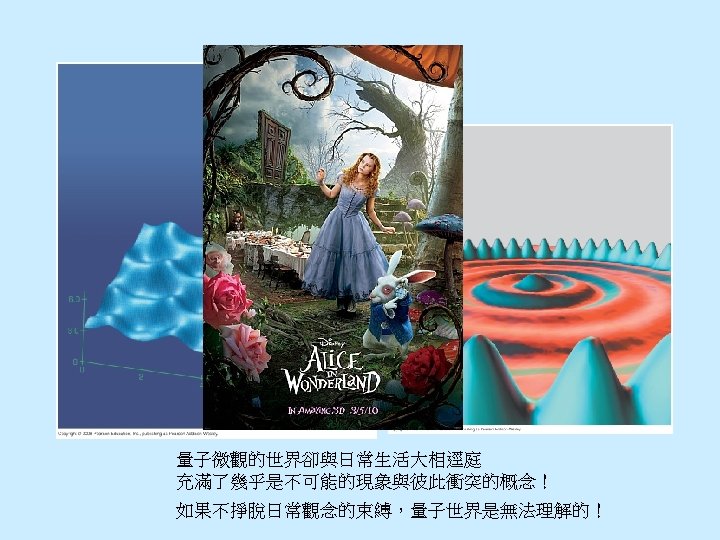 Quantum Wonderland I cant believe that said Alice