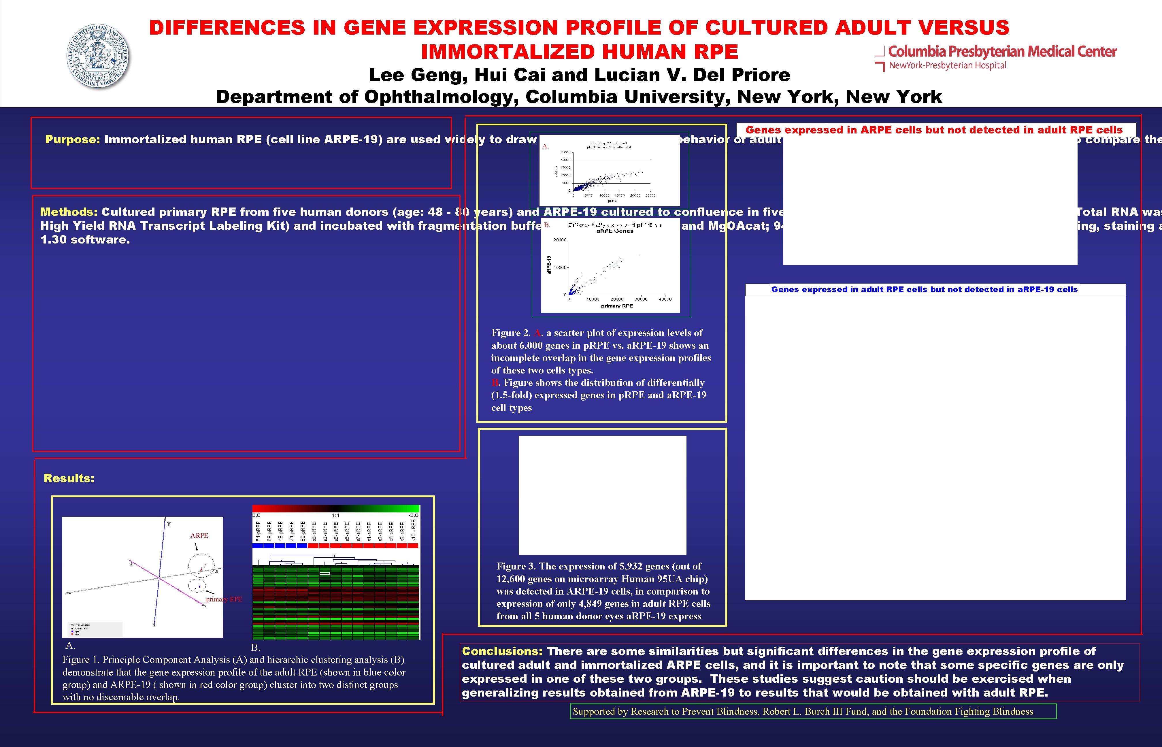DIFFERENCES IN GENE EXPRESSION PROFILE OF CULTURED ADULT