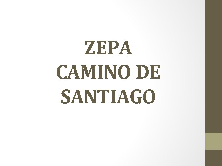 ZEPA CAMINO DE SANTIAGO QU ES UNA ZEPA