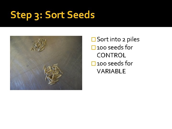 Lesson Plan By Bruce Blakemore THE 200 SEED