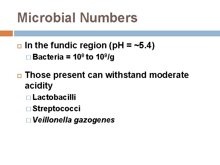EQUINE NUTRITION Digestion Microbes Passage of Digesta Muscle
