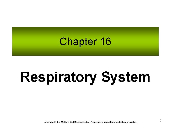 Chapter 16 Respiratory System Copyright The Mc GrawHill