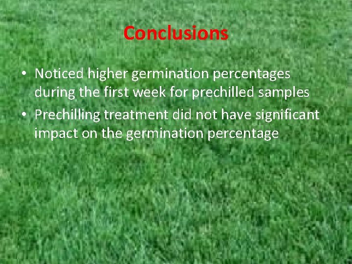 Kentucky Bluegrass Prechill vs Non Prechill AOSA Rules
