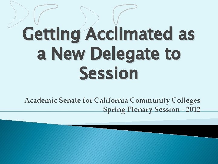 Getting Acclimated as a New Delegate to Session
