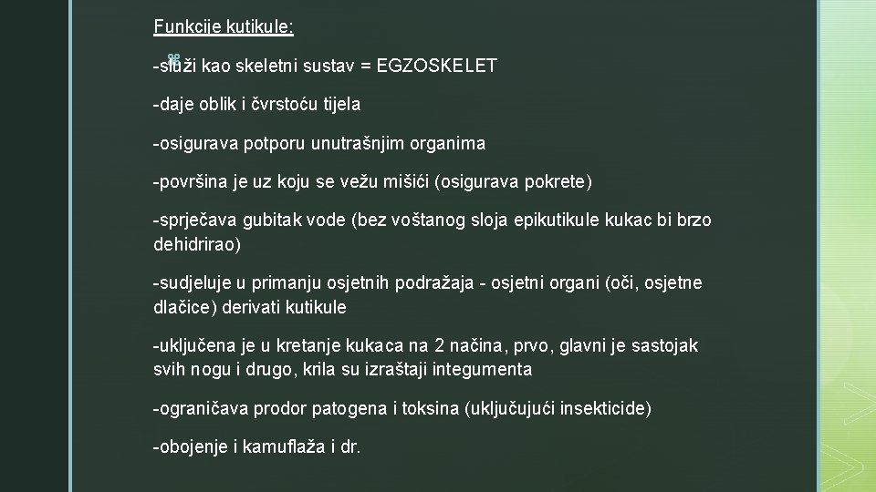 z ANATOMIJA KUKACA PP prezentacija za internu upotrebu
