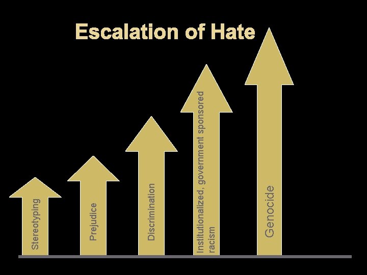 Introduction to The Holocaust Steps to Genocide 1933