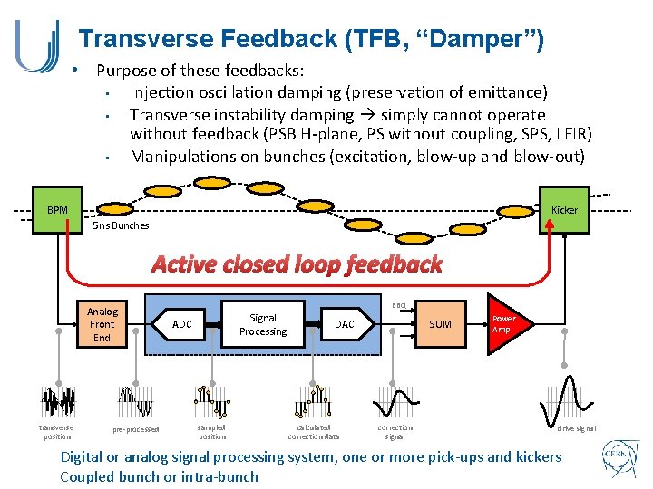 Transverse Feedback Systems along the Injectors Chain and