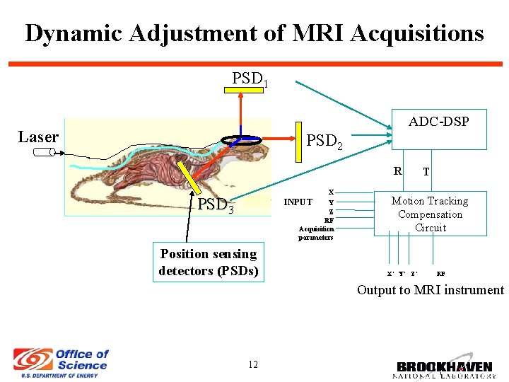 Imaging the Awake Animal MRI Efforts Overview W