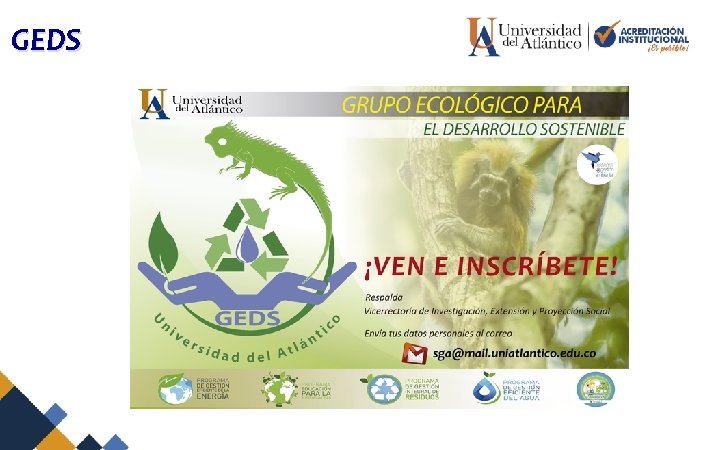 GEDS Grupo Ecolgico para el Desarrollo Sostenible Vivianna