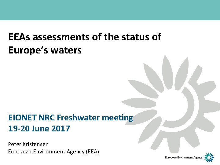 EEAs assessments of the status of Europes waters