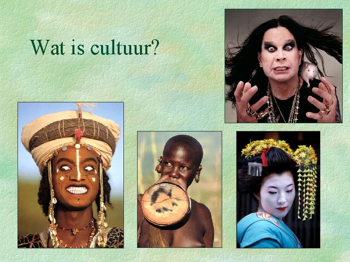 Evolutie en cultuur Van Altamira tot Lowlands Evolutie