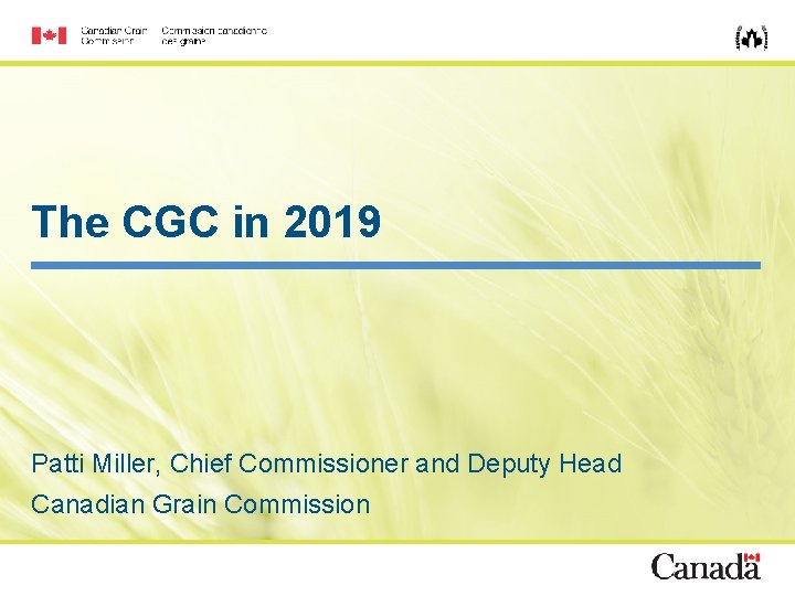 The CGC in 2019 Patti Miller Chief Commissioner