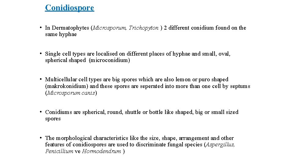 REPRODUCTION in FUNGI Fungi have the ability of