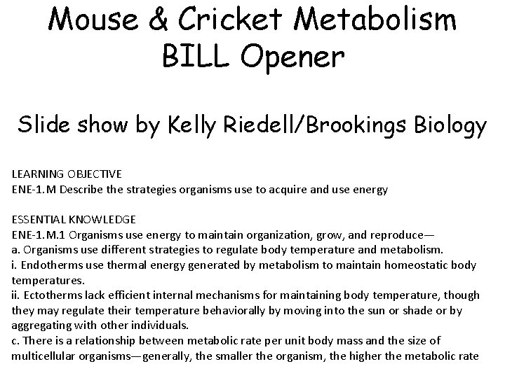 Mouse Cricket Metabolism BILL Opener Slide show by