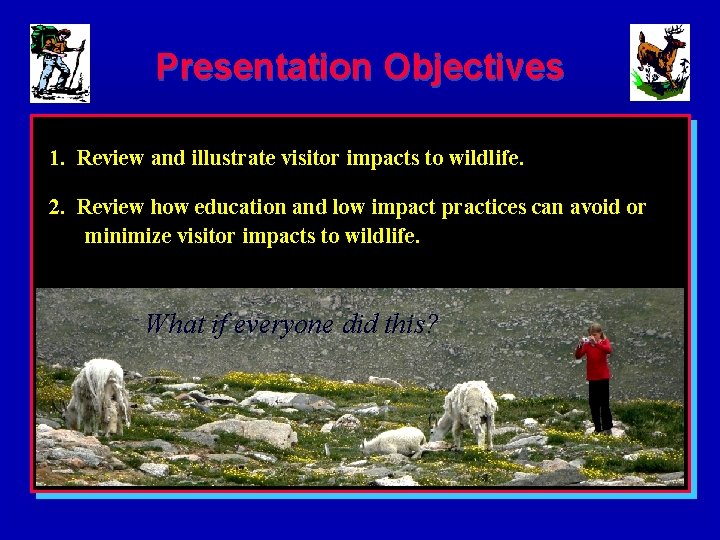 Visitor Impacts to Wildlife Presentation Objectives 1 Review