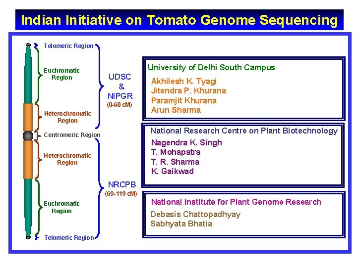 Tomato Genome Sequencing Indian Contribution on Chromosome 5