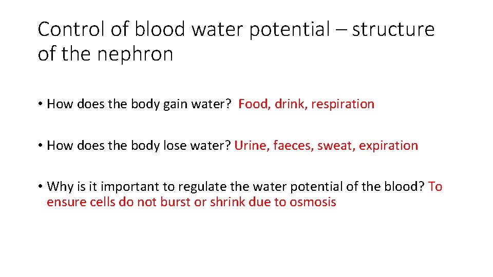 16 5 Control of blood water potential structure