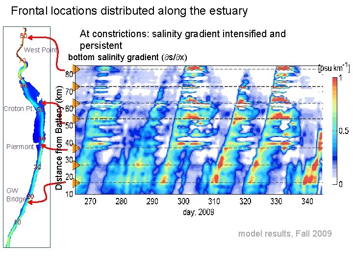 Sediment transport and deposition salinity fronts and storm