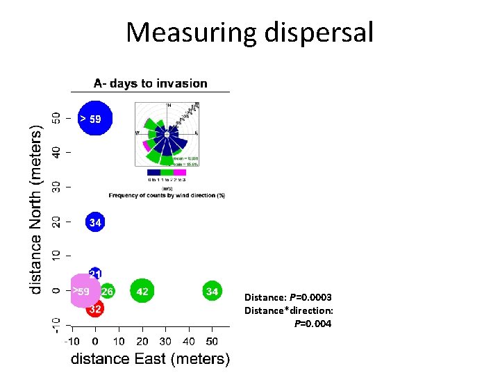 Experimental risk assessment for dispersal invasion and impact