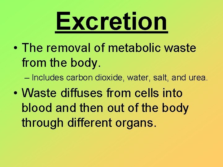 Aim why is the excretory system so important