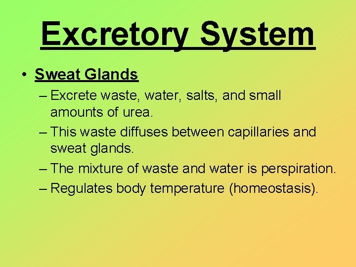 Aim why is the excretory system so important