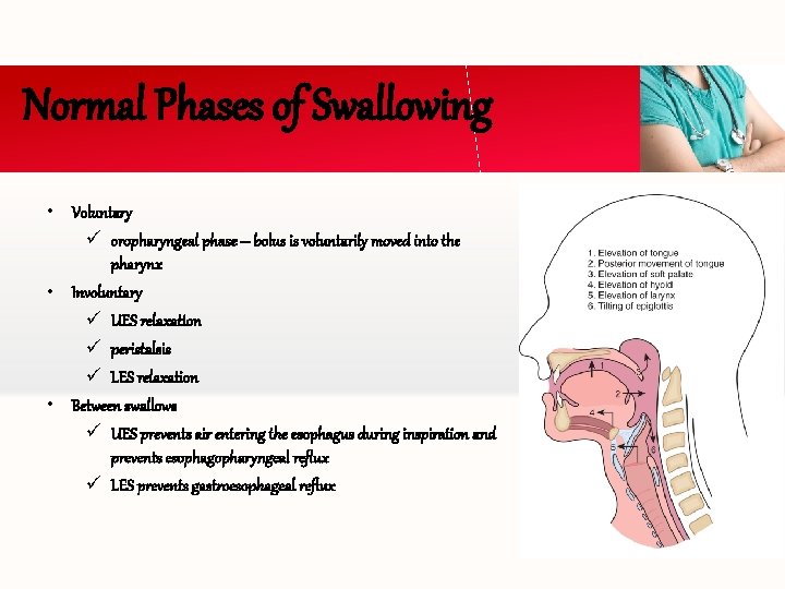 Esophageal Motility Disorders BY Niloofar Azizi Esophageal Anatomy