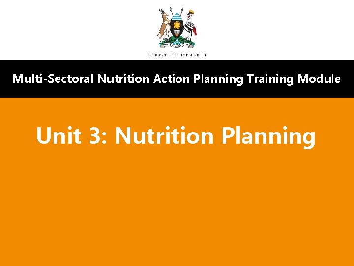 MultiSectoral Nutrition Action Planning Training Module Unit 3