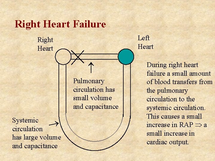 Chapter 22 Cardiac Failure Left And Right Heart