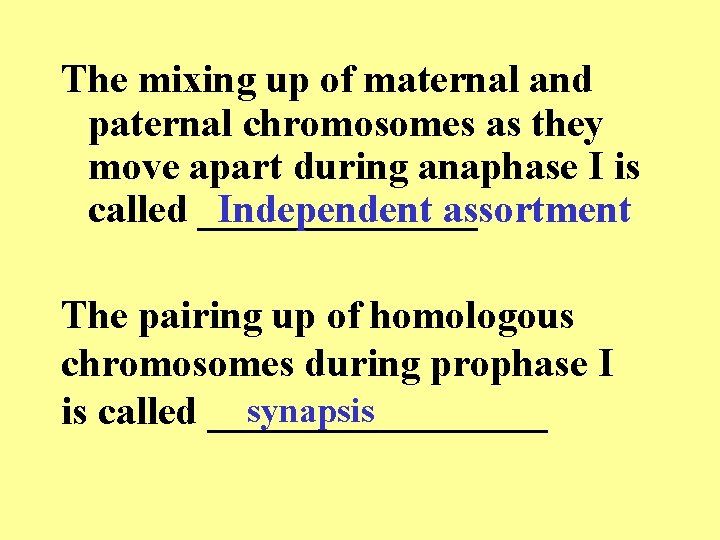 MitosisMeiosis How are they different Slide show by