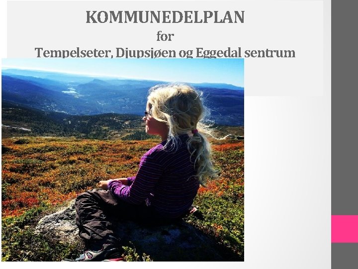 KOMMUNEDELPLAN for Tempelseter Djupsjen og Eggedal sentrum 2019